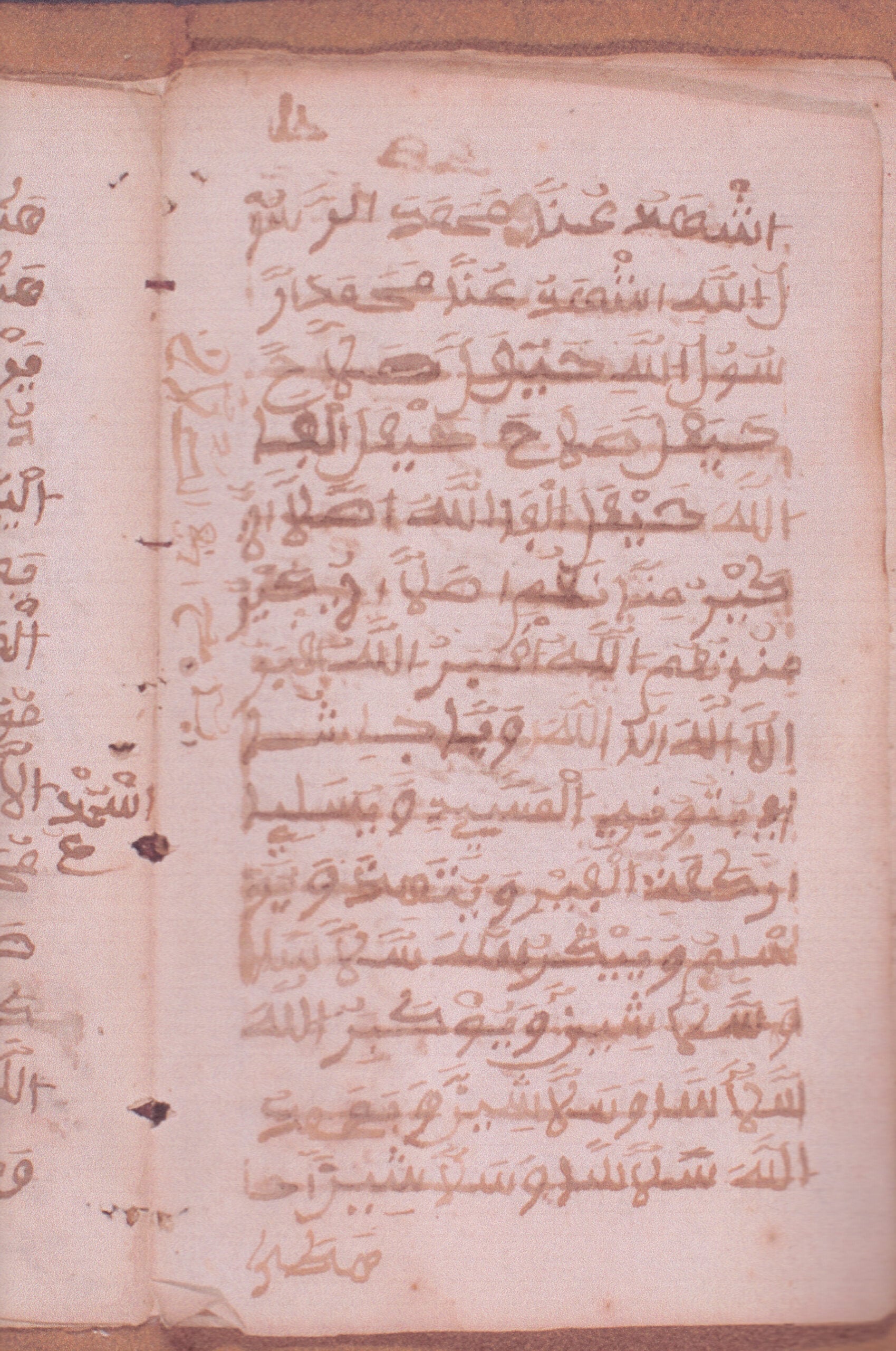 Belali Muhammad “Ben Ali” of Sapelo Square – America's Islamic Heritage ...