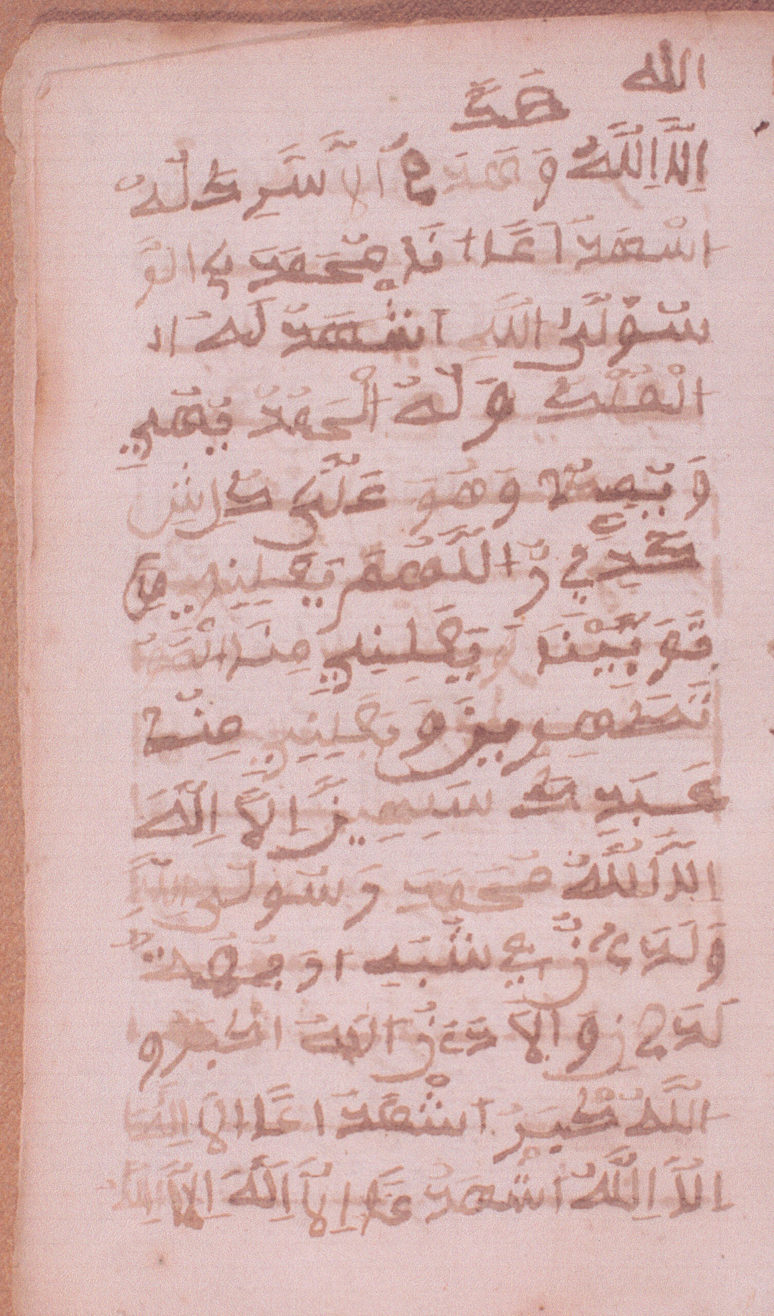 Belali Muhammad “Ben Ali” of Sapelo Square – America's Islamic Heritage ...